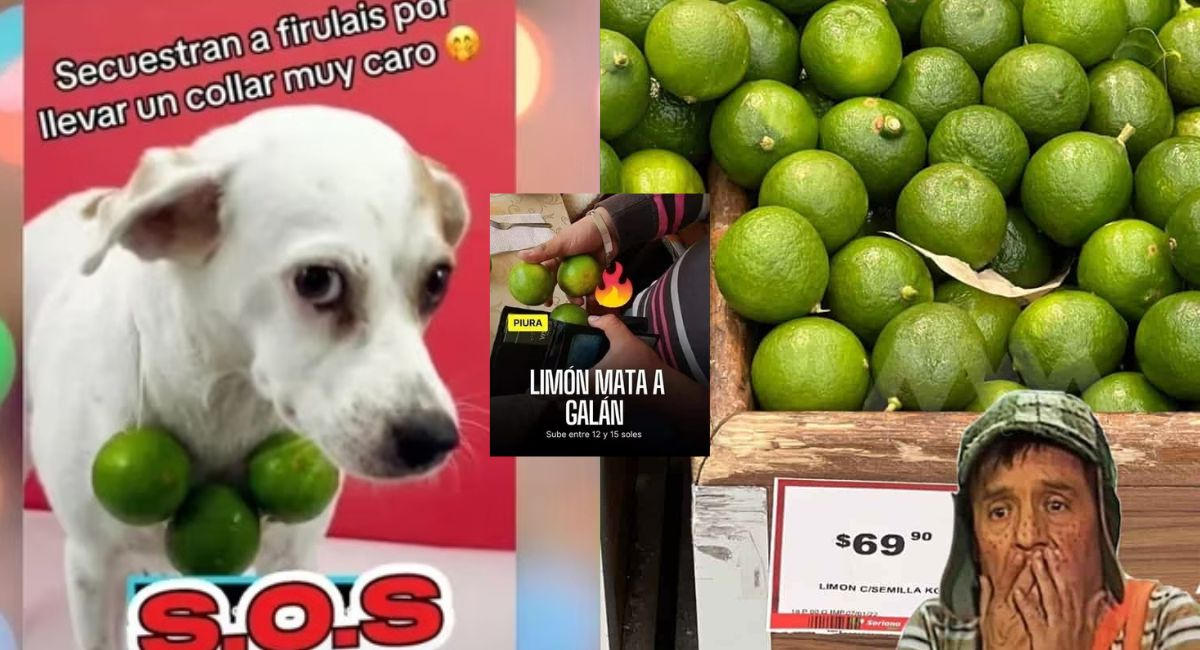 Precio del limón hoy está por las nubes: Estos son los mejores memes ...
