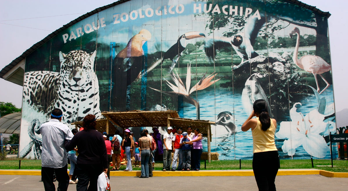 Zoológico de Huachipa: estas fueron las obligaciones incumplidas por Consorcio Ecolatina S.A.C ...