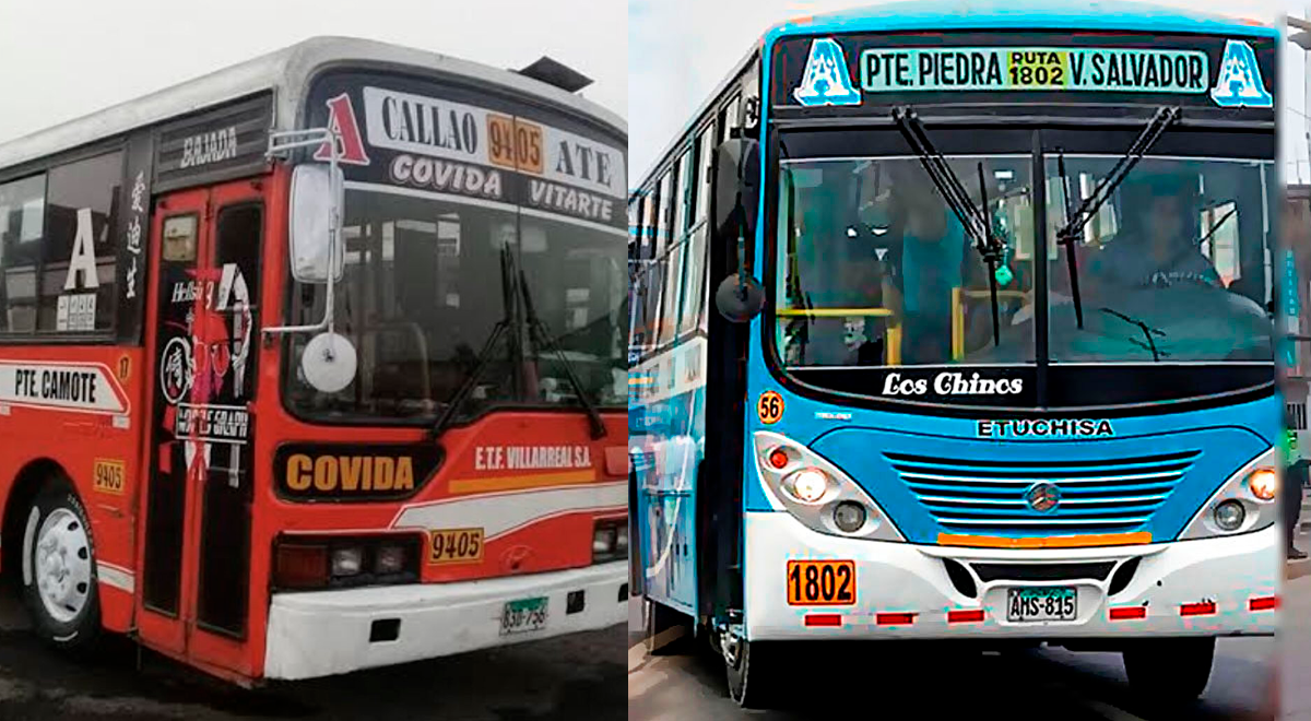Ni Los Chinos o Covida: ¿Cuál es la empresa de transporte público tiene ...