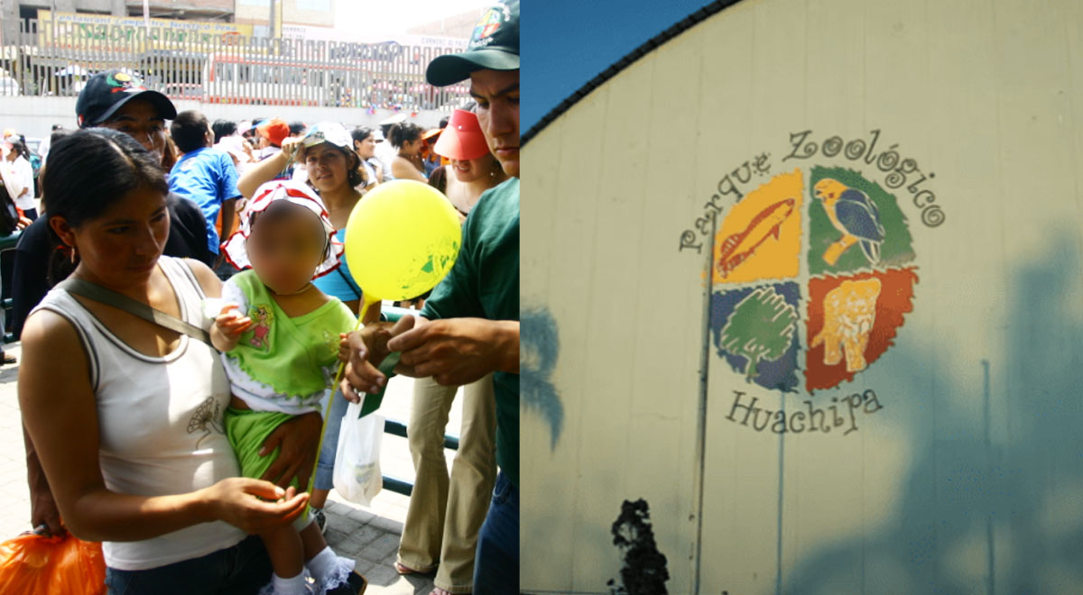 Zoológico de Huachipa: MML anuncia reapertura del centro de esparcimiento: ¿Cuándo será y cuáles ...