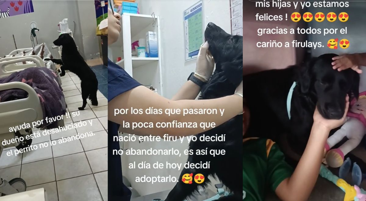 Callao: Firulais, el perrito que acompañó a su dueño desahuciado, ya ...