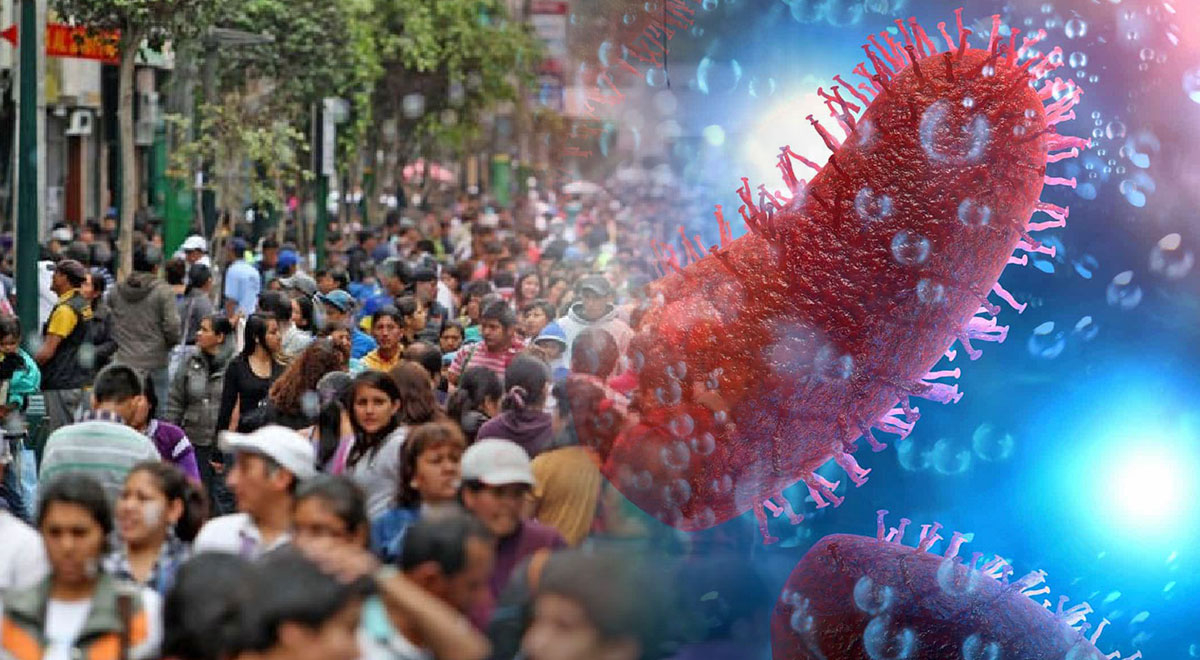 Primer caso de rabia humana en Perú: Minsa realiza cerco epidemiológico ...