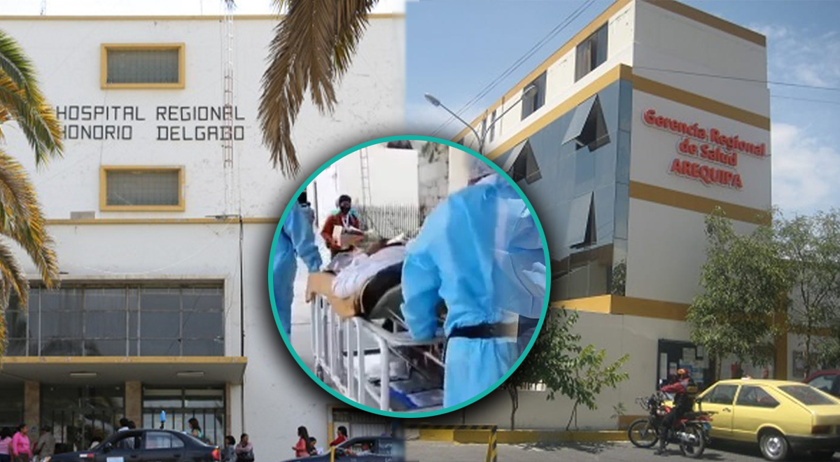 Rabia humana en Arequipa: Gerencia Regional de Salud sobre muerte de ...