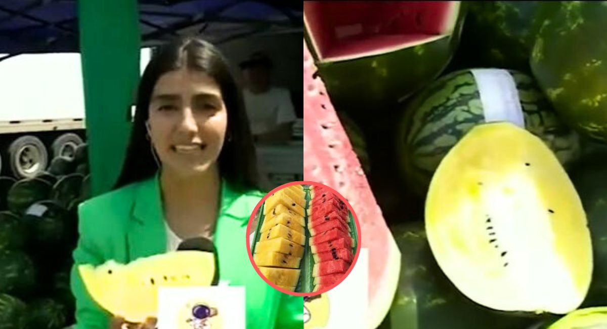 TikTok: Periodista chilena en shock al conocer la sandía amarilla que ...