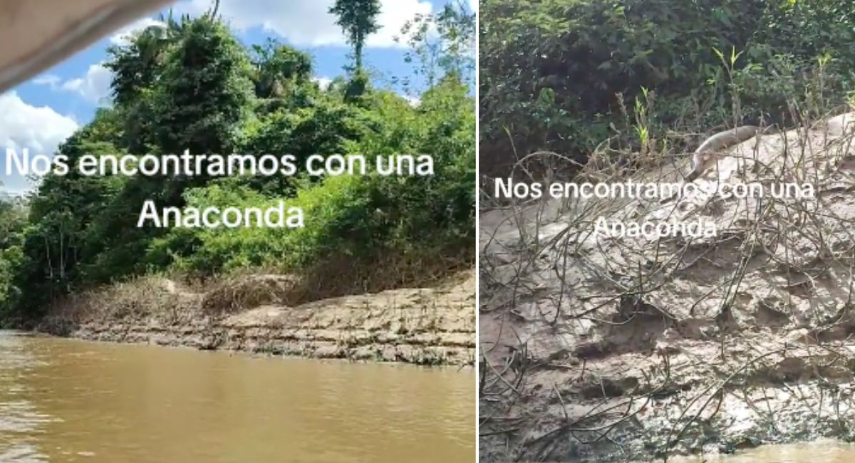 Tiktok viral: peruanos viajan a Iquitos, encuentran una anaconda en pleno río y quedan en shock