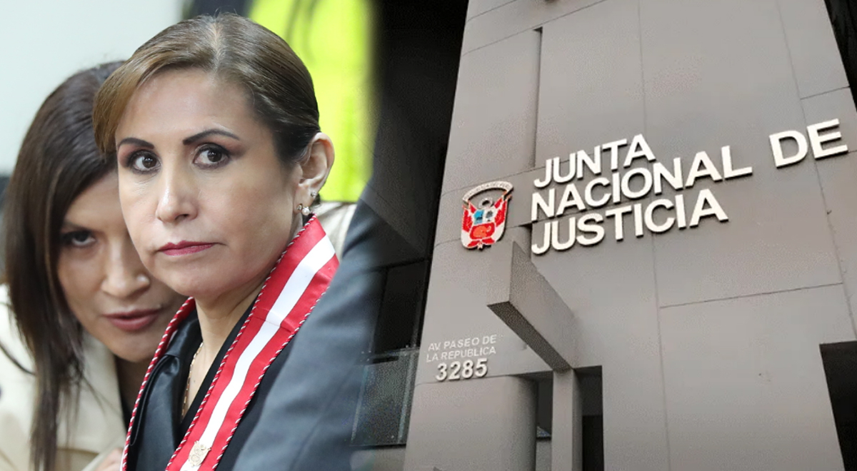 Patricia Benavides Poder Judicial Admite A Trámite La Demanda De