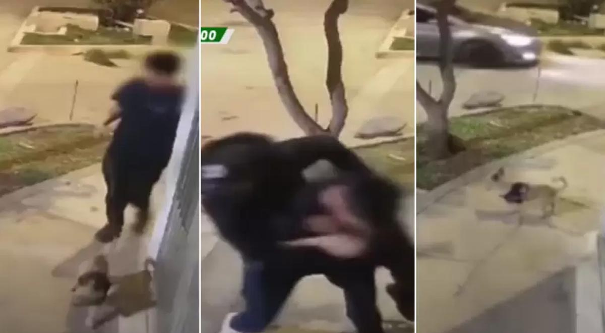 Ate: Secuestran a joven universitario mientras paseaba a su perro y lo liberan después de cuatro ...