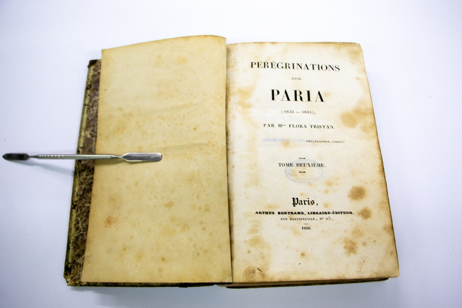 Obra de Flora Tristán es declarada Patrimonio Cultural de la Nación ...