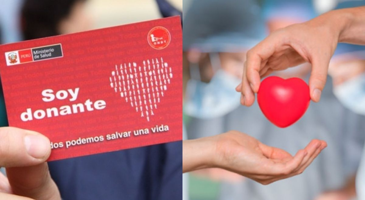 ¿Donación de órganos en Perú será obligatoria para todos y desde cuándo aplicará en los DNI ...