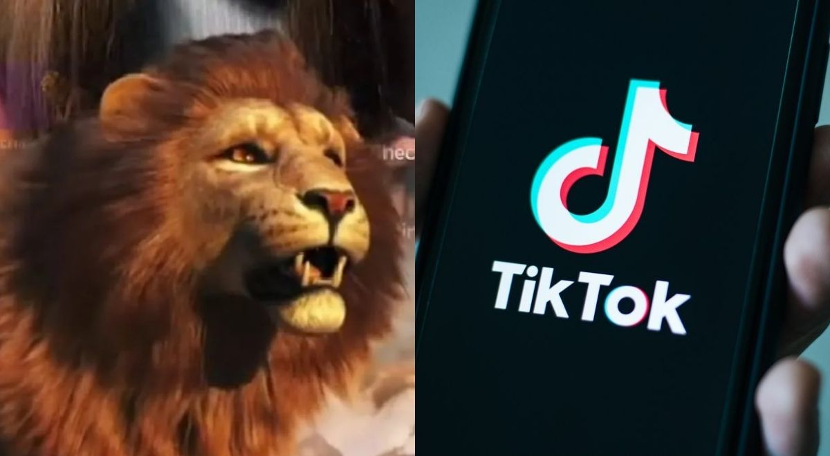 TikTok: cuál es el valor de tener un león y cómo puede influir en tu ...