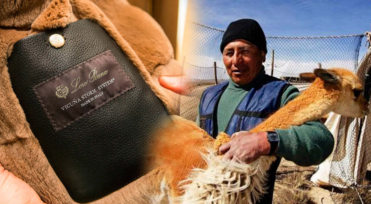 Ayacucho: Denuncian que agricultores trabajan "gratis" para Loro Piana ...