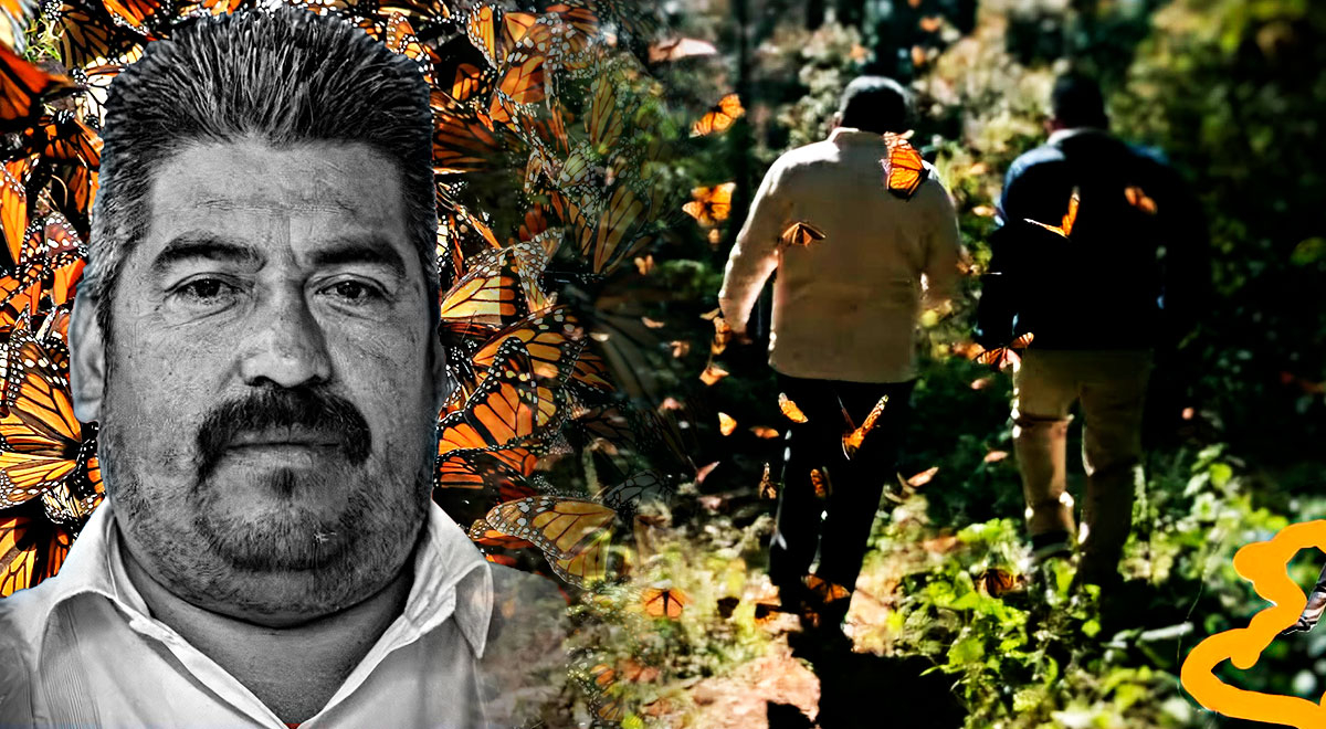 ¿Qué pasó con Homero Gómez? ‘El guardián de las mariposas monarcas’ en ... ¿Qué pasó con Homero Gómez? ‘El guardián de las mariposas monarcas’ en ...
