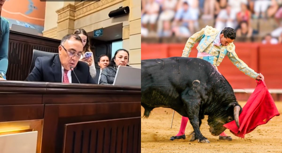 Corrida de toros en Colombia: congreso aprueba su prohibición | Tauromaquia | El Popular