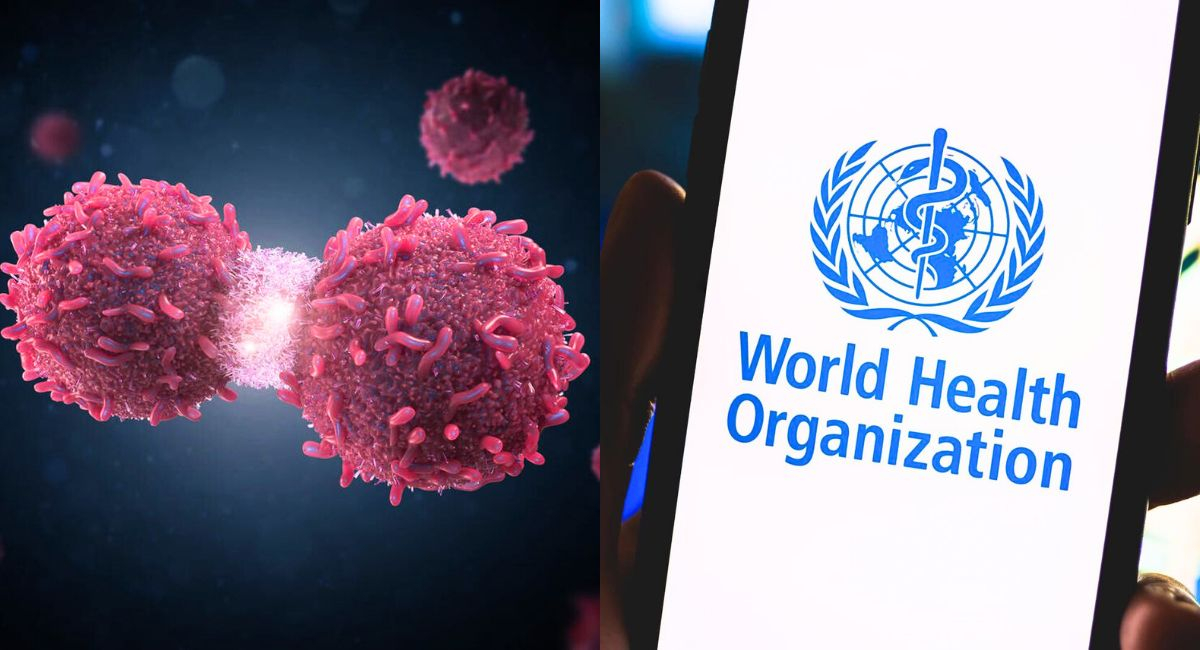 OMS actualiza su lista de elementos cancerígenos para los seres humanos ...