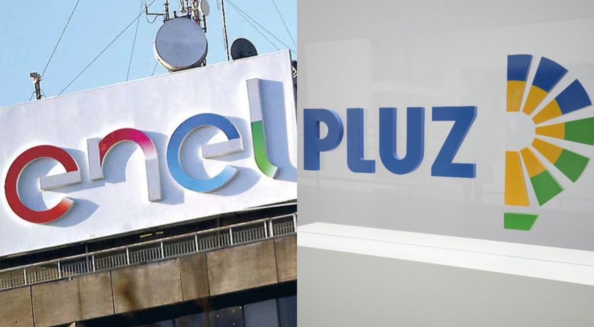 ¡Adiós Enel! Pluz, la compañía china que manejará el 100% del mercado ...