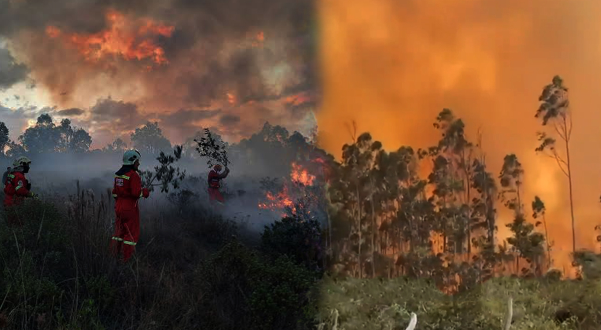 Incendio forestal en Amazonas: estos son los sitios arqueológicos que ...