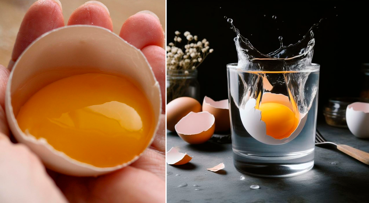 Qué significa si el huevo se queda abajo: guía completa para ...