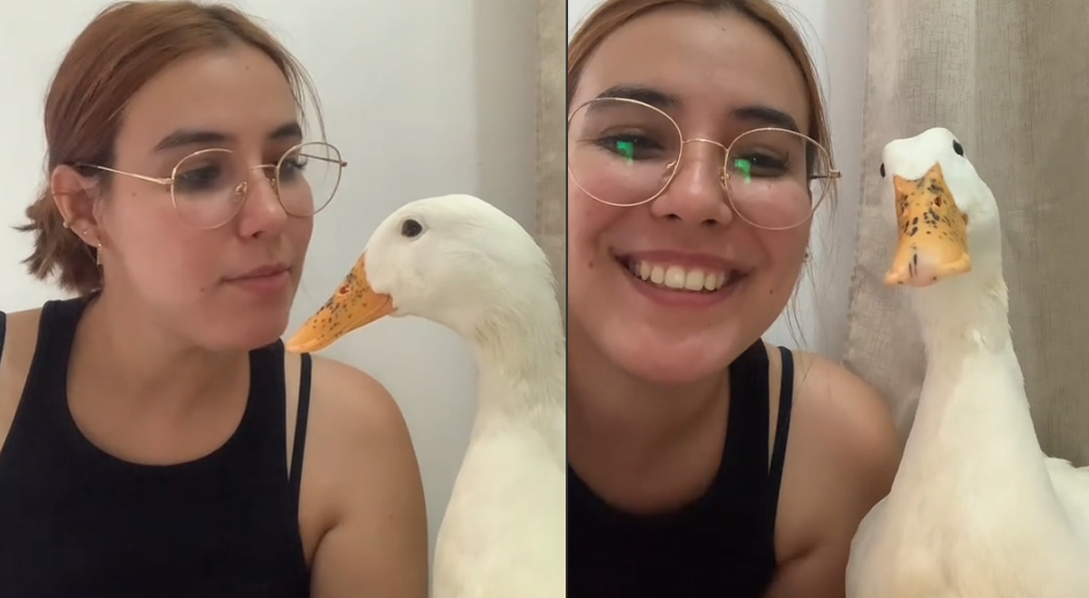 ¿Has visto sonreír a un pato? Mujer logra lo impensable con su mascota ...