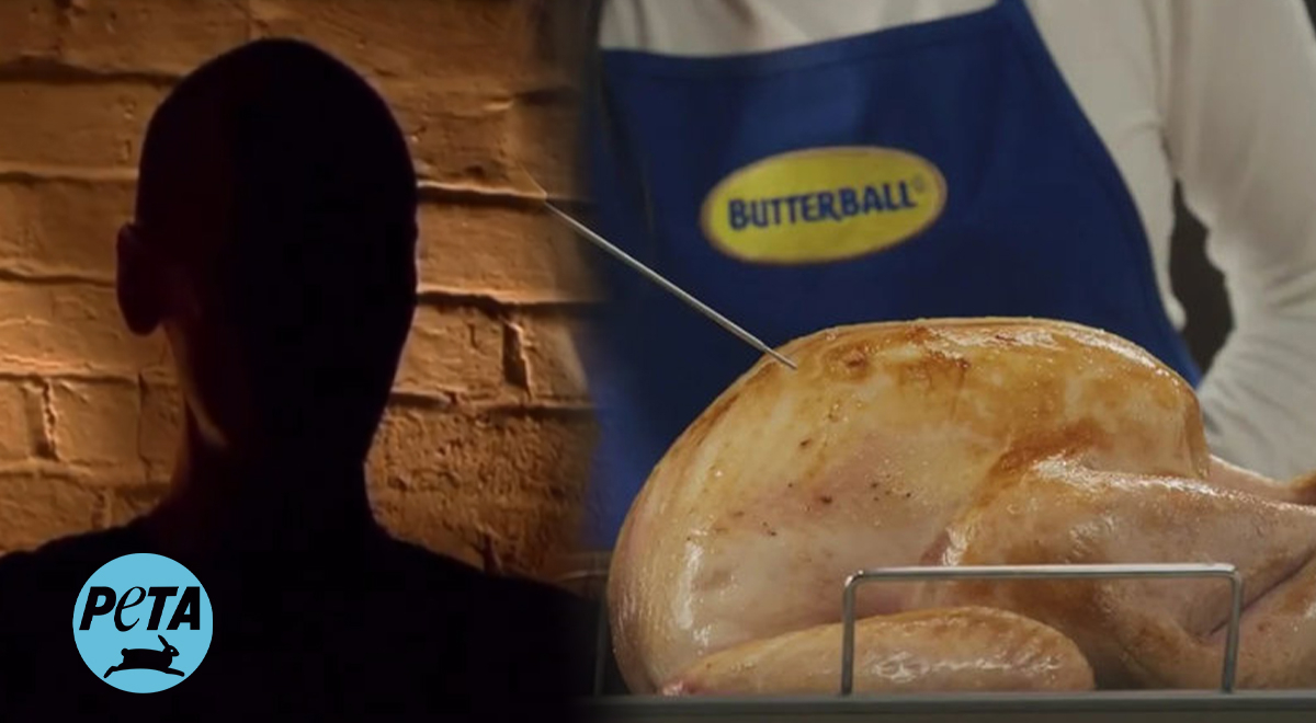 Estados Unidos: PETA denunció que en Butterball los trabajadores abusan ...