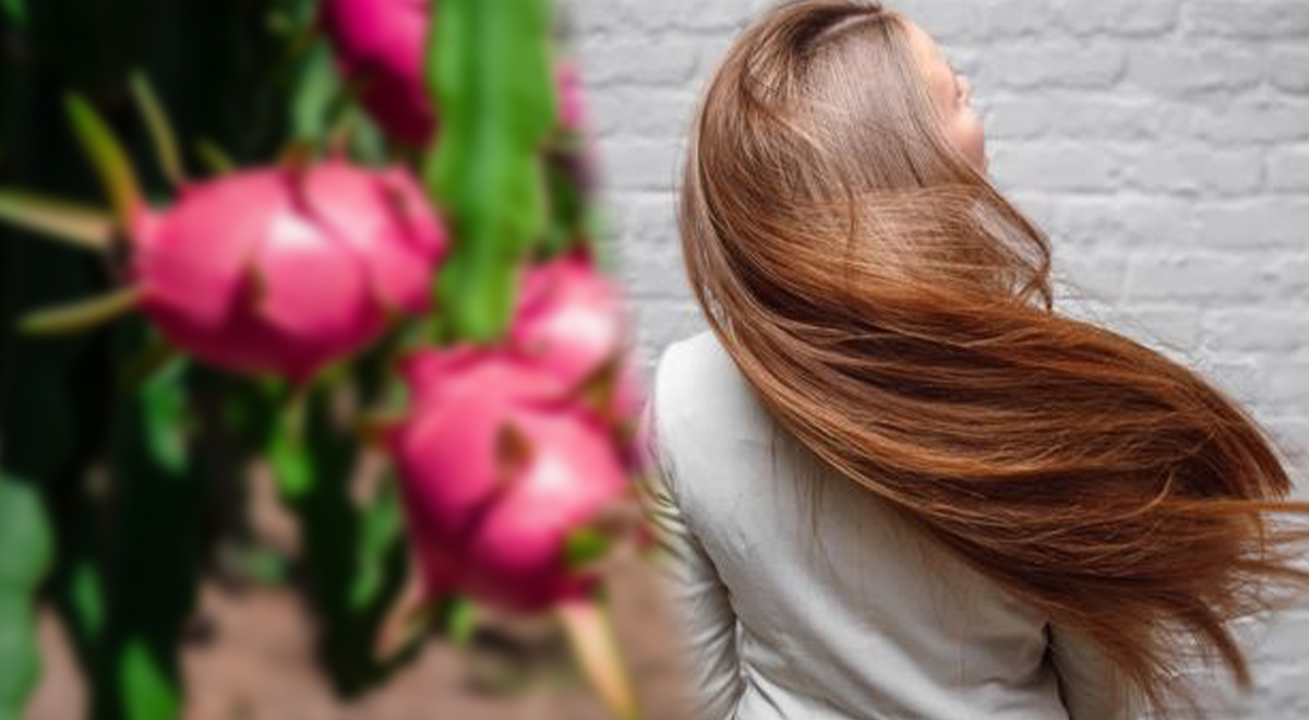 La fruta EXÓTICA que te hará tener un cabello fuerte y es un aliado ...