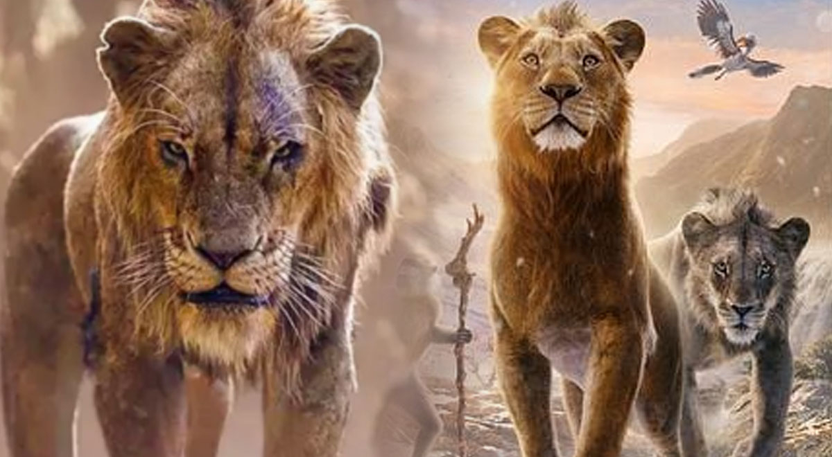 Lista De Nombres De Los Personajes Del Rey León Lista Del Elenco De