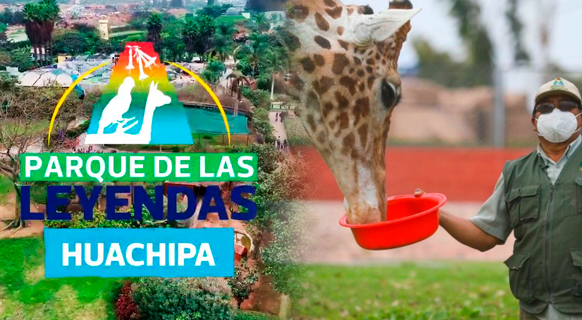 Parque de las Leyendas ofrece entradas gratis este 17 de agosto: Descubre cómo acceder a esta ...