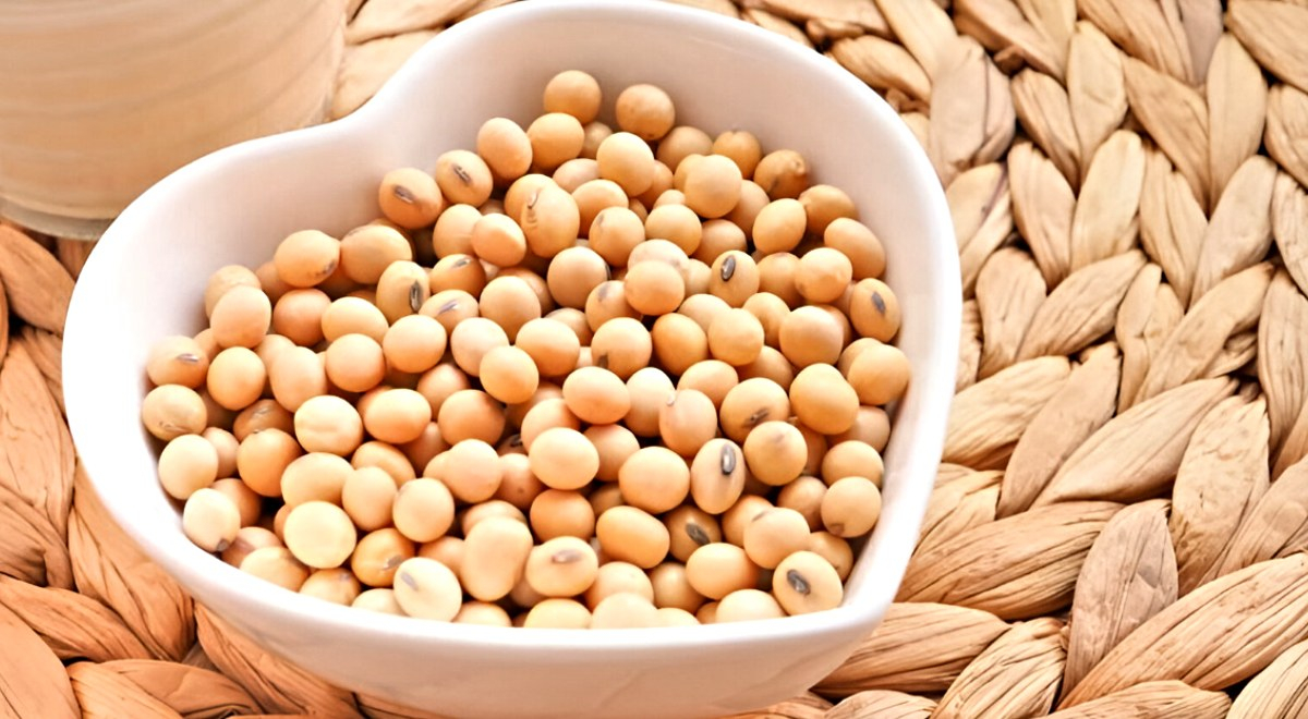 Beneficios de la lecitina de soya: el suplemento natural que ayuda al ...