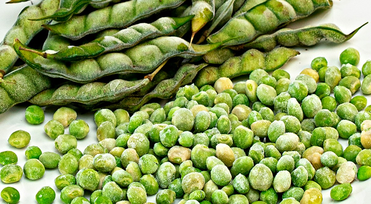 Frejol chivatito: beneficios y propiedades del superalimento que tiene ...