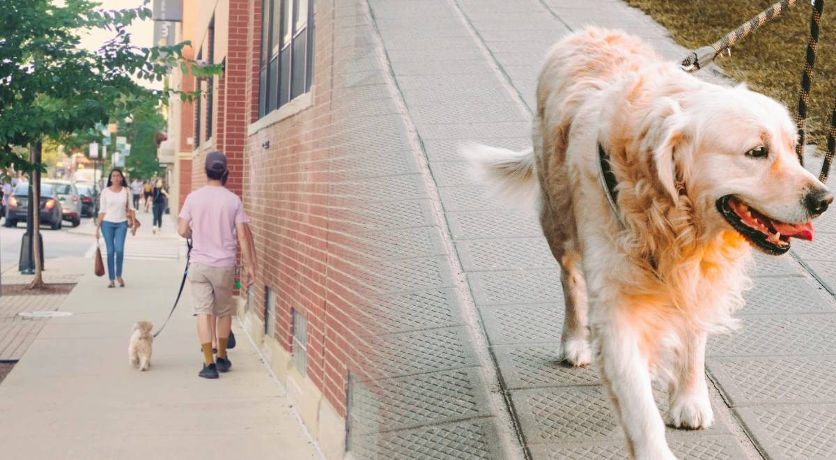 Buenas noticias para inmigrantes: en esta ciudad de EE. UU. se ofrece ...